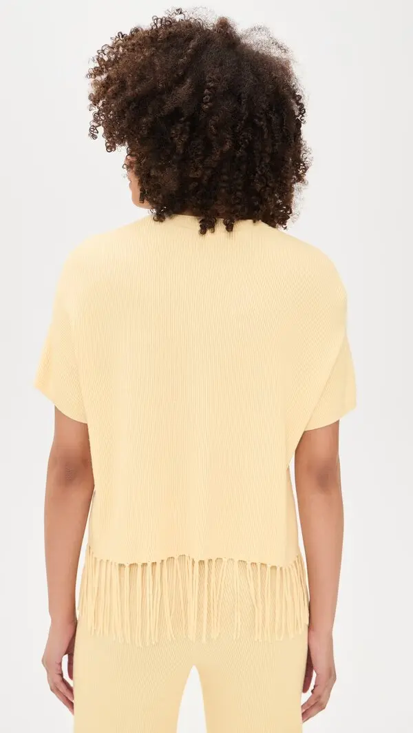 Splendid Short Sleeve Fringe Sweater
