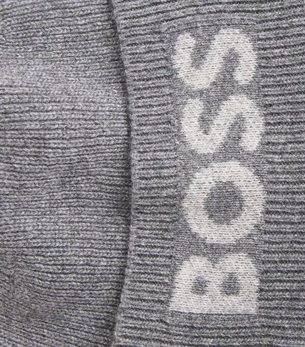 BOSS Elios Logo Beanie