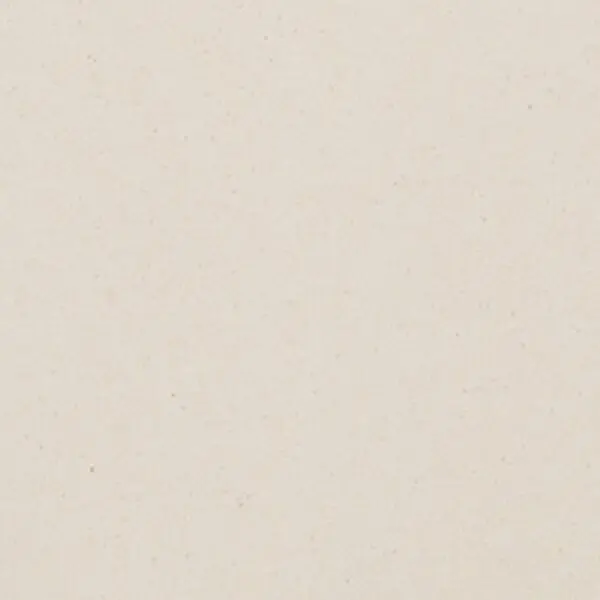 THE ROW Pacey Cotton Sweatshirt - Ivory