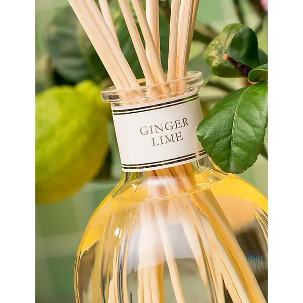 DR. VRANJES FIRENZE Ginger Lime Scented Diffuser Set 1250ml