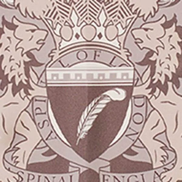 ASPINAL OF LONDON Silk Signature Scarf - Neutral