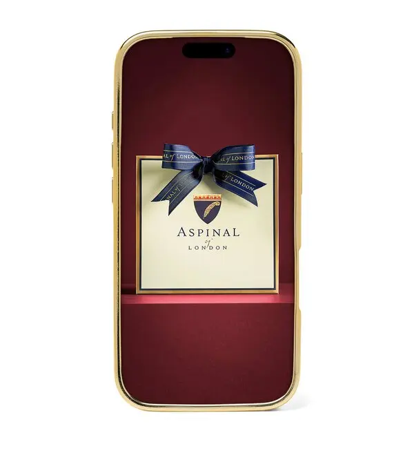 ASPINAL OF LONDON Leather Iphone 17 Pro Case - Red