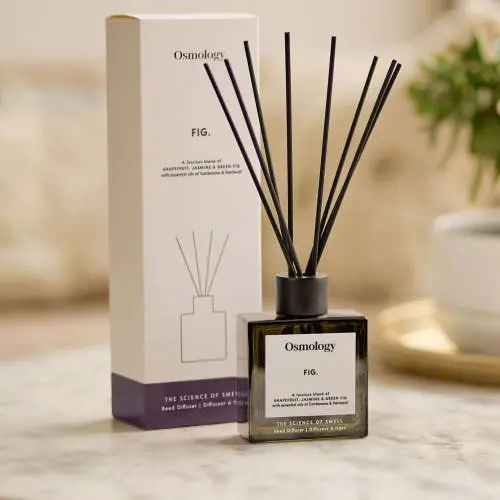 OSMOLOGY Fig Reed Diffuser
