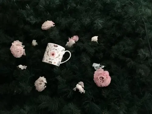 Twig New York Scandinavian Floral Set Of Two Mugs