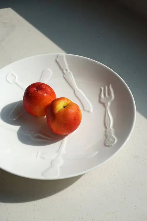 TWIG NEW YORK Cutlery Low Bowl