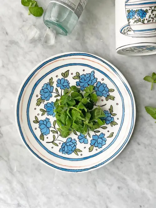 TWIG NEW YORK Heritage Bachelor Button Salad Plate