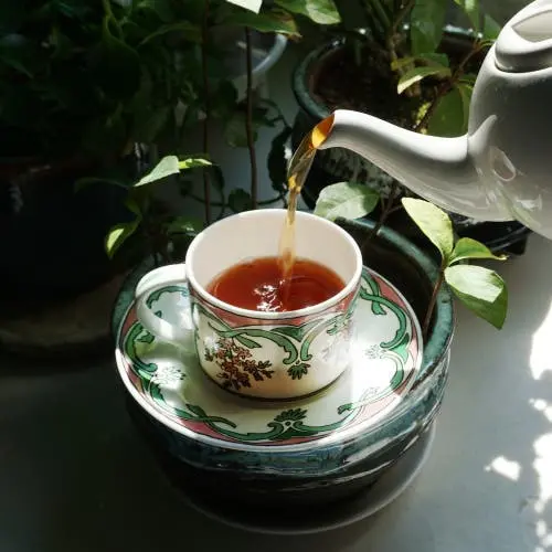 TWIG NEW YORK Always Marie Cup & Saucer