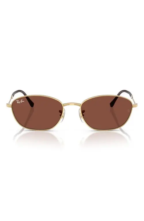 Ray-ban 55mm Oval Sunglasses - Arista/red
