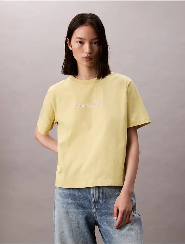 Calvin Klein Standard Logo Boxy Fit Crewneck T-shirt