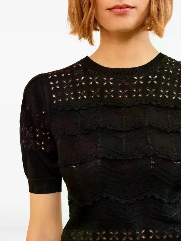Ulla Johnson Eyelets-detail Ruffled Top - Black