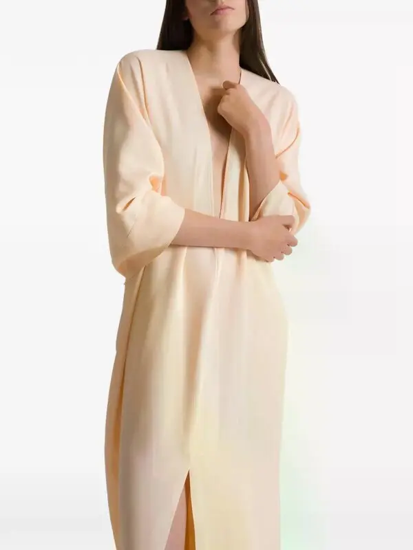 Alberta Ferretti V-neck Maxi Dress