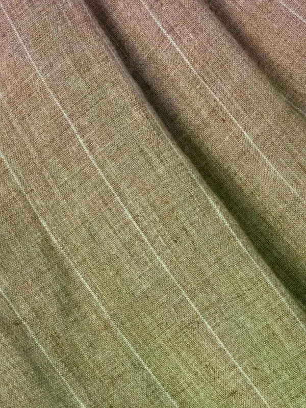 Simkhai Jacob Pinstripe Pleated Trousers