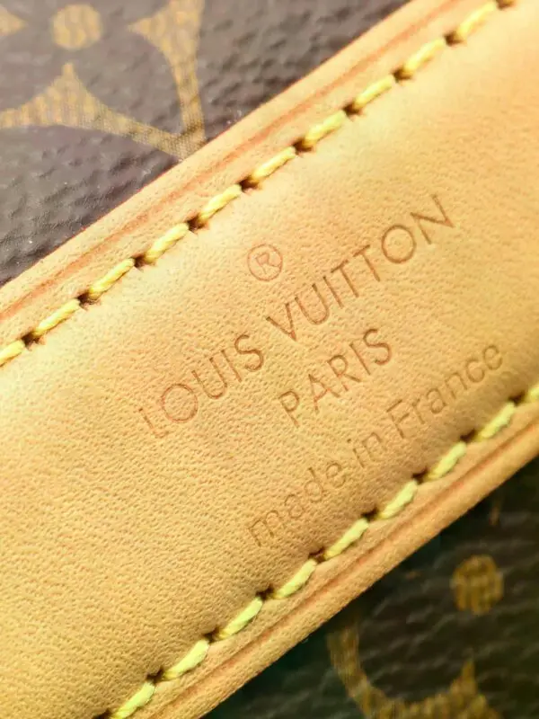 LOUIS VUITTON 2021 Monogram Sac Chien 50