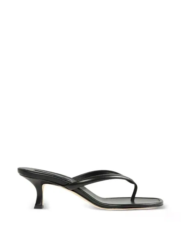 Manolo Blahnik Paterno Thong-strap Sandals