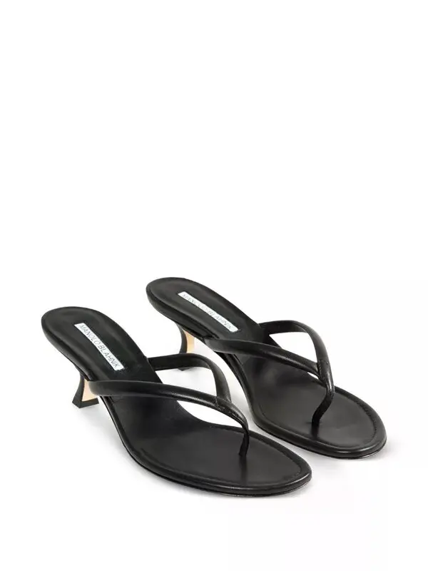 Manolo Blahnik Paterno Thong-strap Sandals
