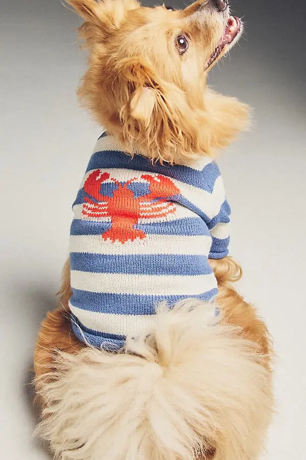 Anthropologie Striped Lobster Pet Sweater - Lobster Icon