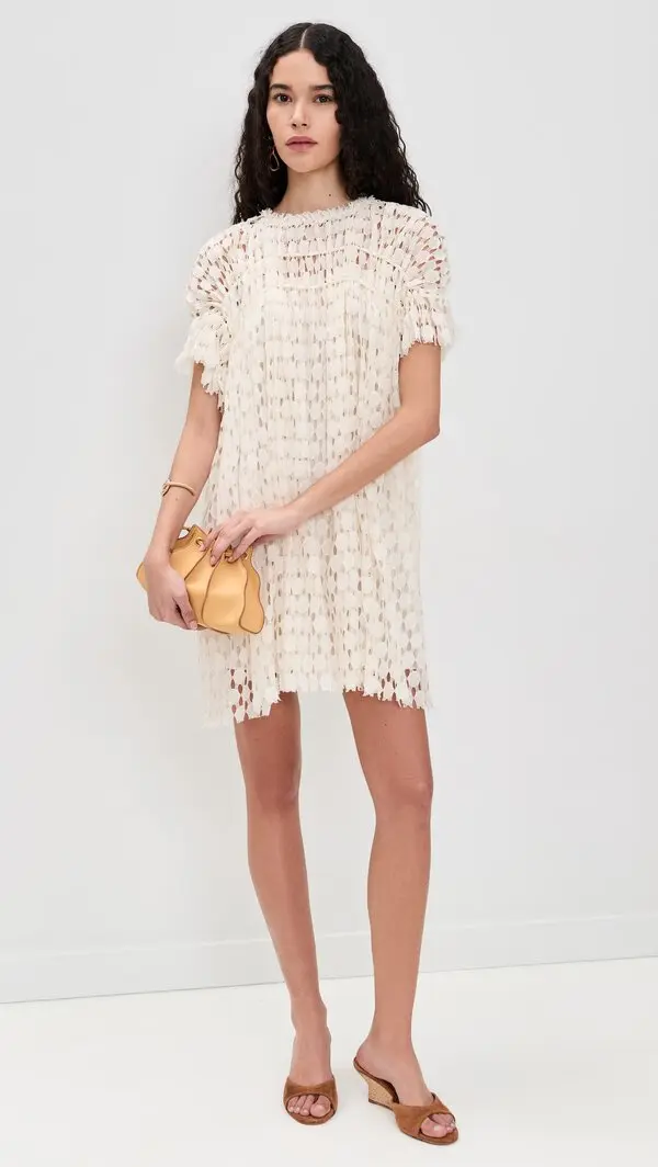 Ulla Johnson Layla Lace Mini Dress