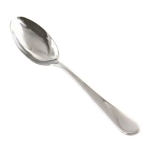 MARTHA STEWART 8 Piece Stainless Steel Dinner Spoon Set