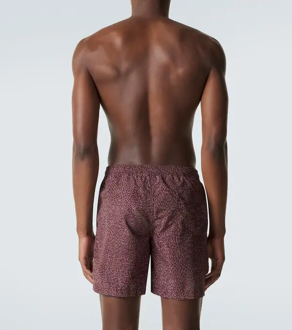 Brioni Printed Swim Trunks