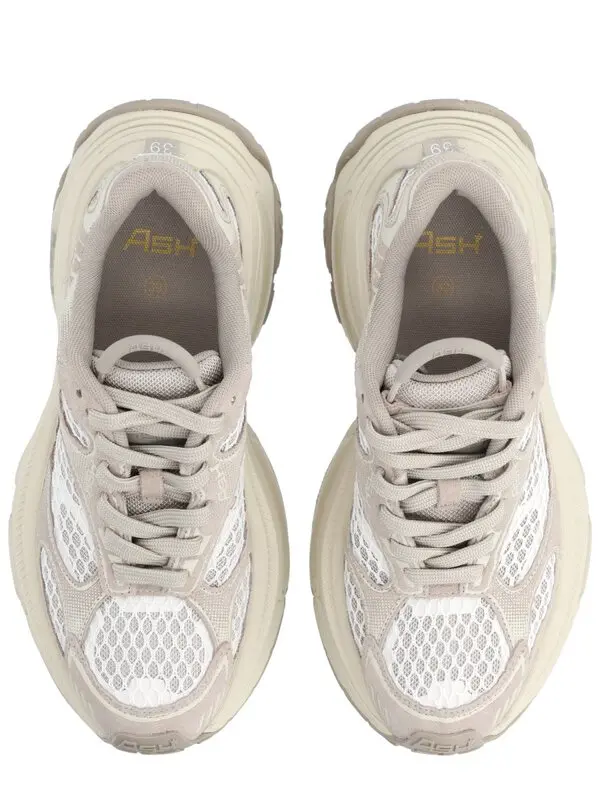 Ash Dragon Sneakers - Beige