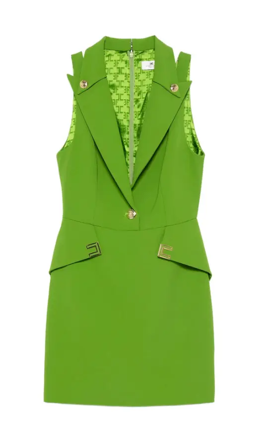 Elisabetta Franchi Stretch Crepe Mini Dress