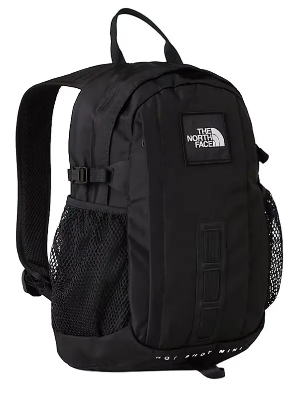 The North Face Mini Backpack