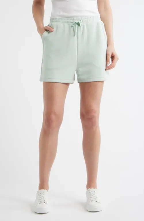Bernardo Knit Shorts