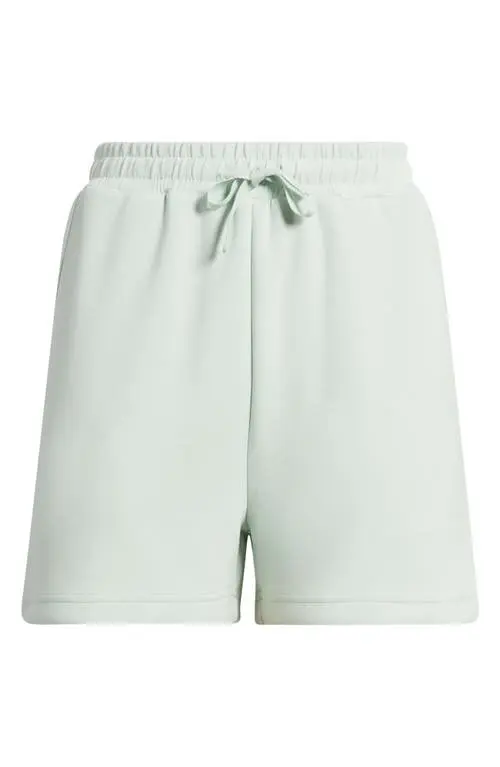 Bernardo Knit Shorts