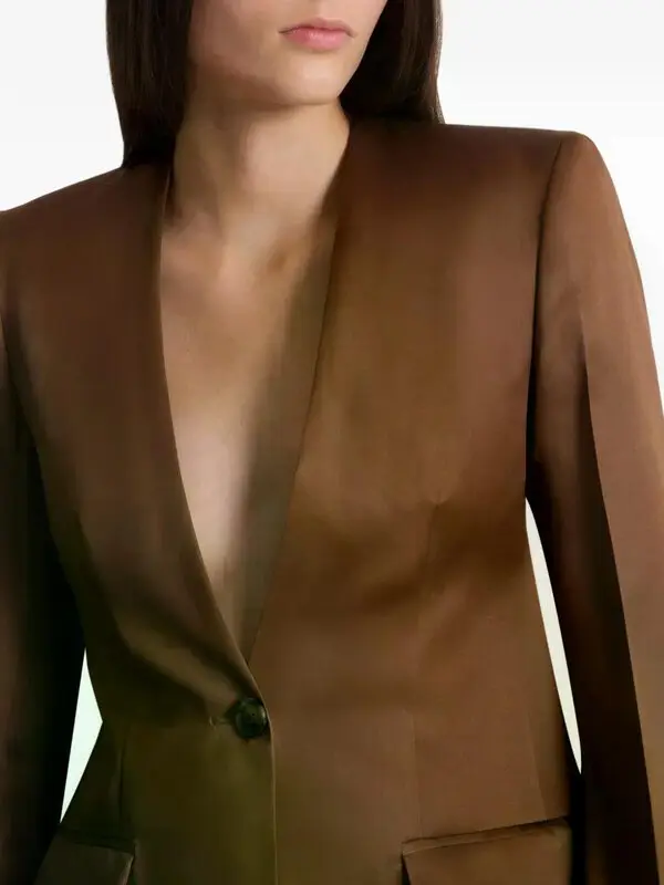 Alberta Ferretti Button Jacket