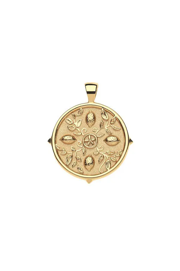 JANE WIN X Giadzy Gratitude Citrus Tile Original Pendant Coin - Gold