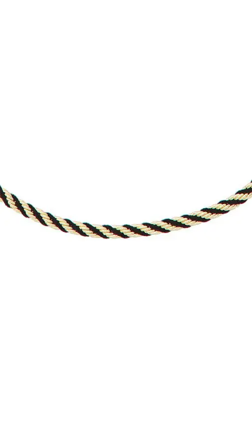 Shashi Duet Rope Chain Necklace