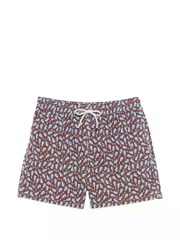 MC2 SAINT BARTH Seahorse Print Swim Shorts - Brown