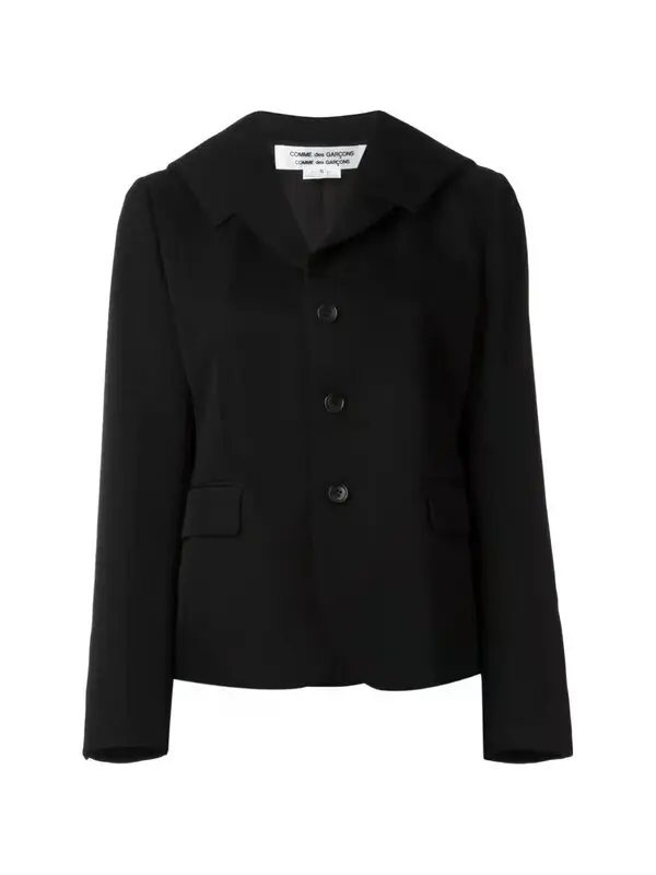 Comme Des Garçons Buttoned Jacket