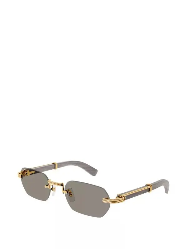 Cartier Ct0362s Sunglasses