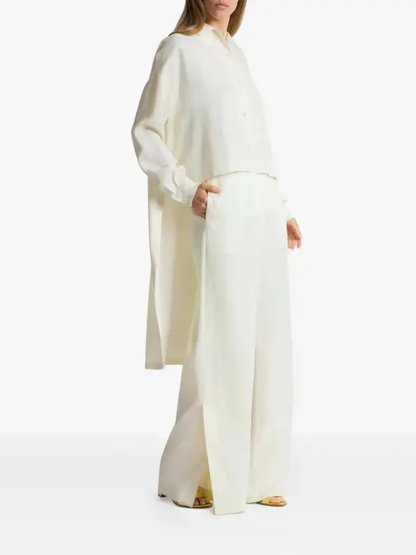 Alberta Ferretti Buttoned Shirt