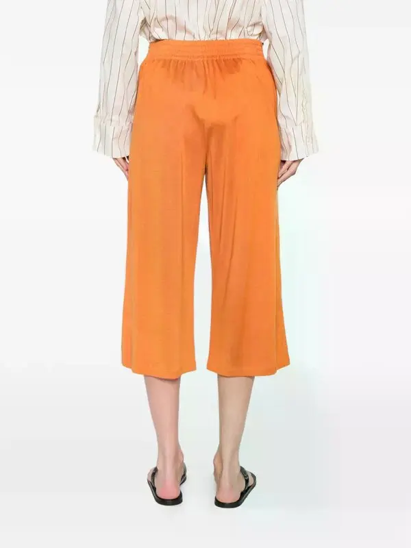 6397 Button Side Shorts