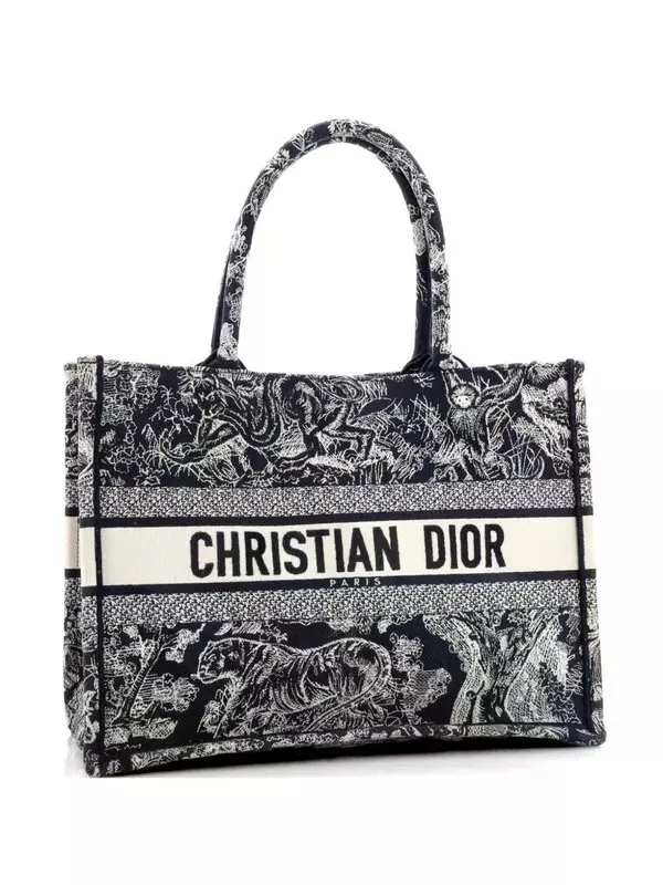 Dior Book Embroidered Canvas Medium Tote Bag - Blue
