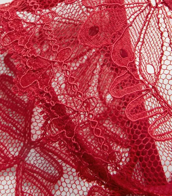 AUBADE Lace Mystery Of Love Italian Briefs
