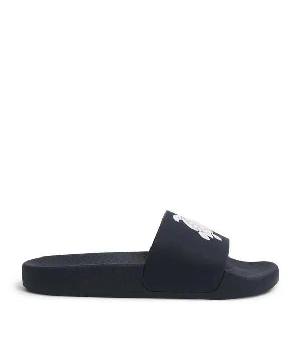 Vilebrequin Tortue Slides