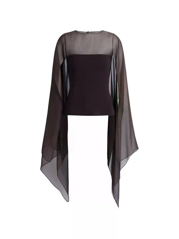 Alberta Ferretti Sheer-paneled Cape Top - Brown