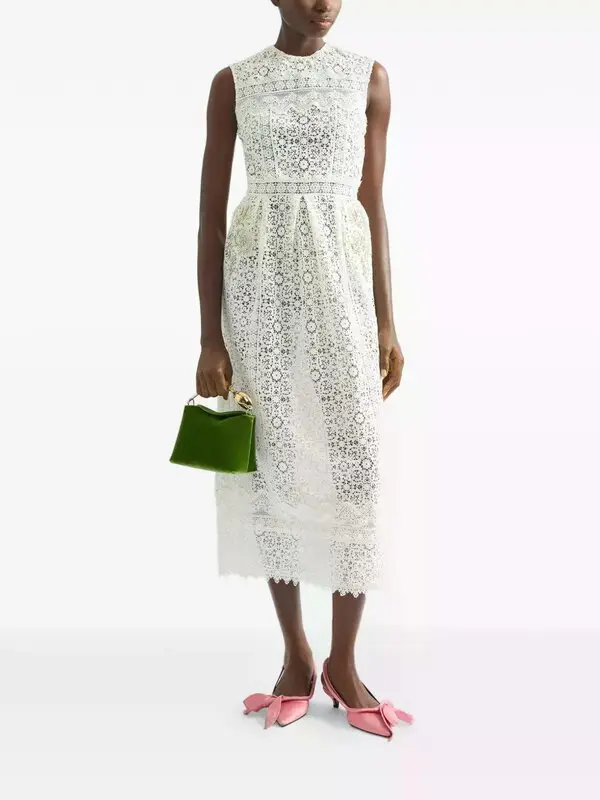 Erdem Guipure Lace Embellishment Midi Dress