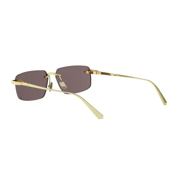 Dior Cdior S4u Sunglasses - Gold