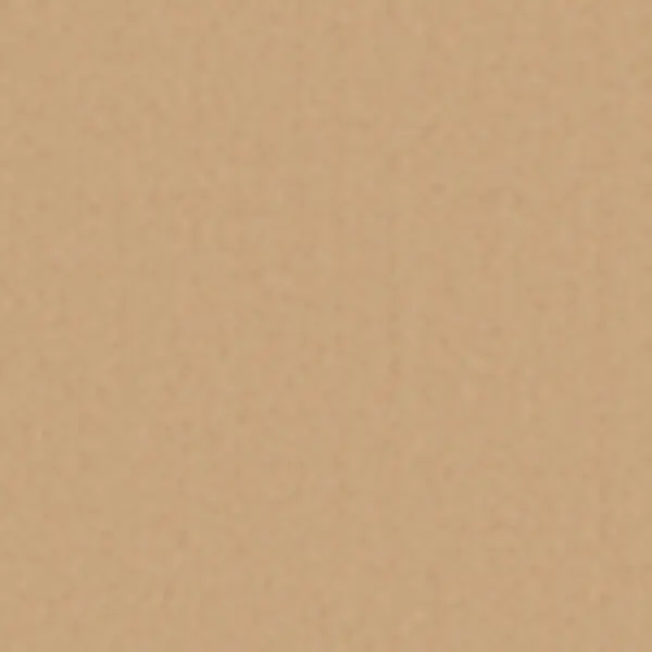 Max Mara Cotton Arianne Shirt - Beige