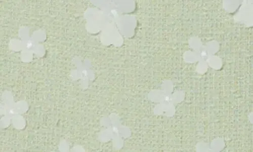 Astr The Label Janell Floral Appliqué Skort