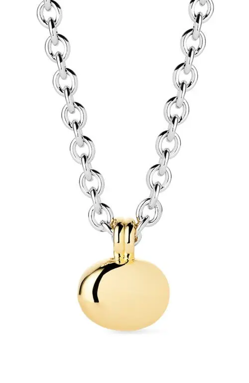 ANA LUISA Pebble Pendant Chain Necklace - Gold/silver