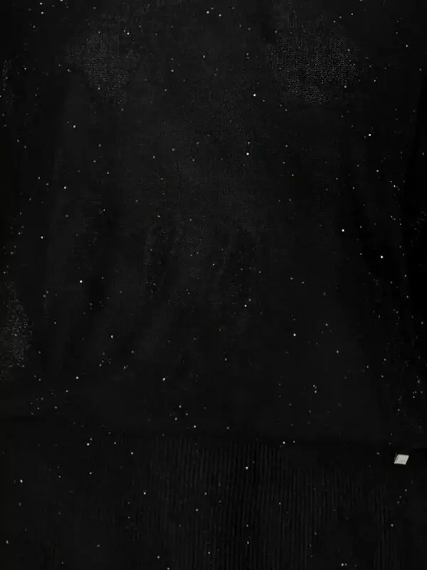 Herno Metallic Knitted Top
