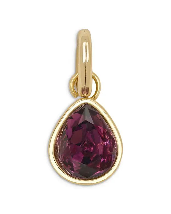 Ramy Brook Birthstone Imitation Charm - Amethyst