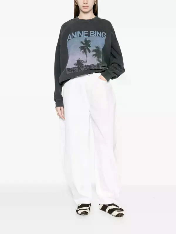 ANINE BING Miles Washed Sweatshirt - Grey