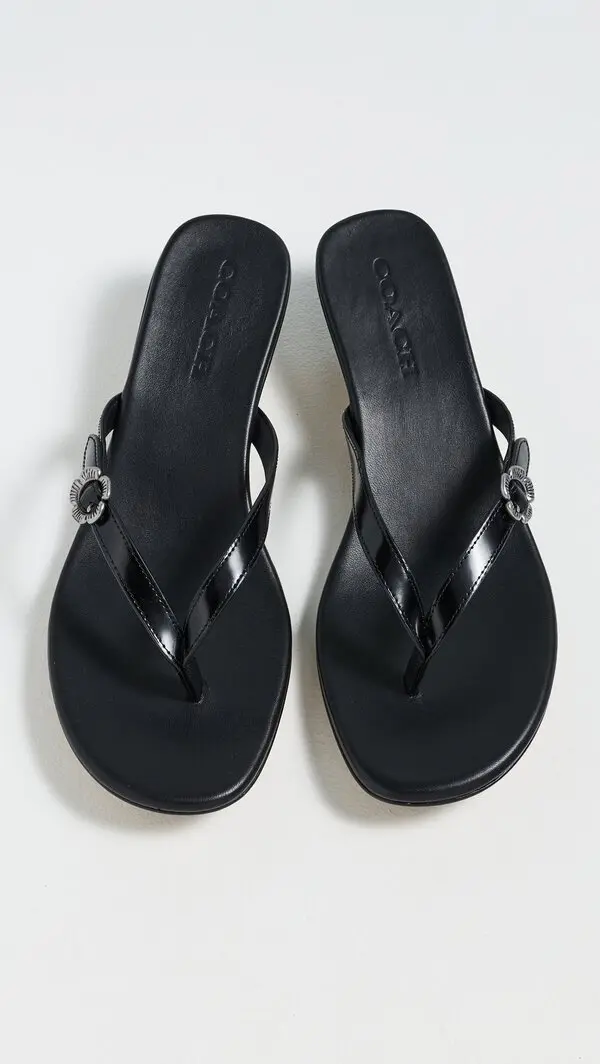COACH Tea Rose Kitten Heels