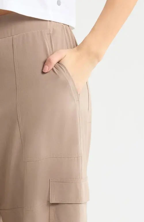 Greyson Drawcord Cargo Pants - Clay